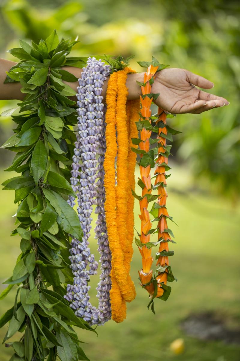 Celebrating Lei Day: A Symbol of Aloha and Unity– Makana